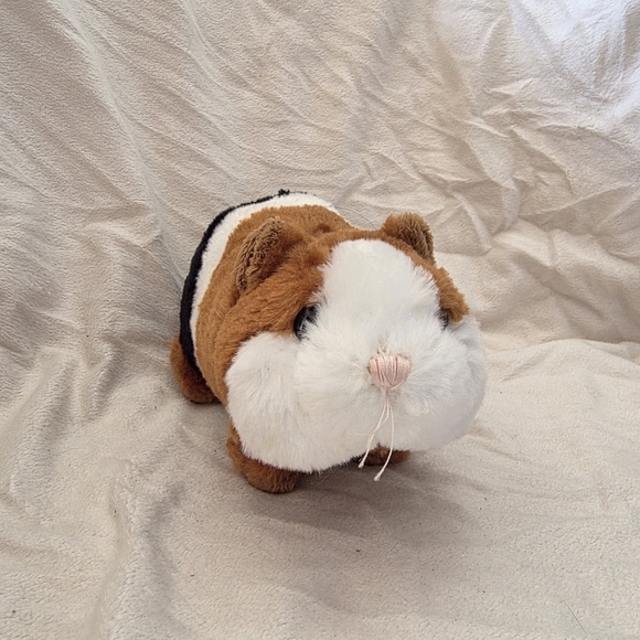 GANZ | Toys | Webkinz Guinea Pig | Poshmark